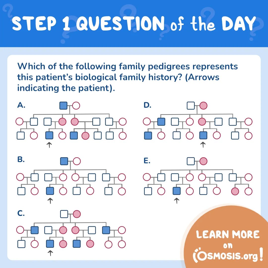USMLE® Step 1 Question of the Day: Fragile X syndrome - Osmosis Blog